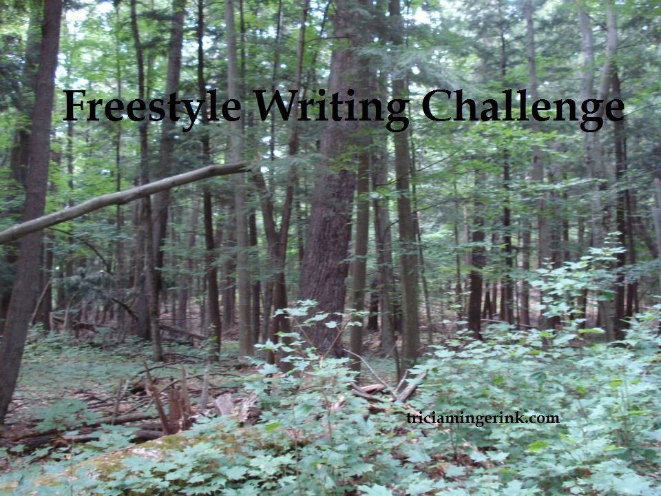 Freestyle Writing Challenge – Tricia Mingerink